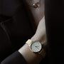 See all our watches - Watches in gold and silver online | DW